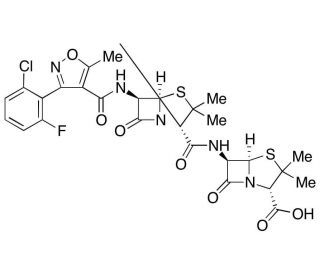 6-APA Flucloxacillin | SCBIO - Santa Cruz Biotechnology