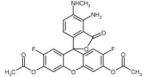 DAF-FM DA (cell permeable) | CAS 254109-22-3 | SCBIO - Santa Cruz ...