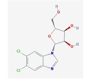 DRB | CAS 53-85-0 | SCBIO - Santa Cruz Biotechnology
