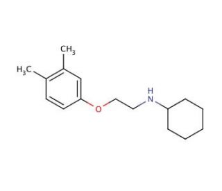 N-[2-(3,4-Dimethylphenoxy)ethyl]cyclohexanamine | CAS 1040680-65-6 | SCBIO - Santa Cruz ...