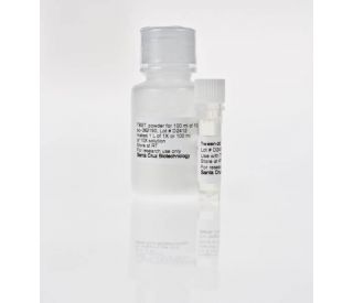Tris Buffered Saline with Tween 20: powder for 100 ml of 10X | Santa ...