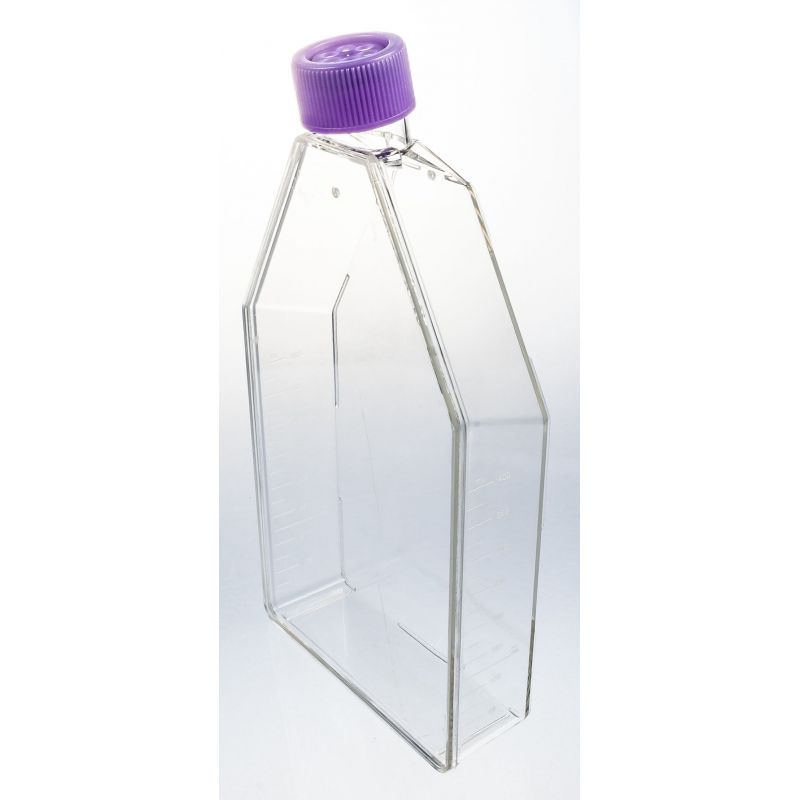Cell Culture Flasks with Vented Caps – UltraCruz® | Santa Cruz Animal ...