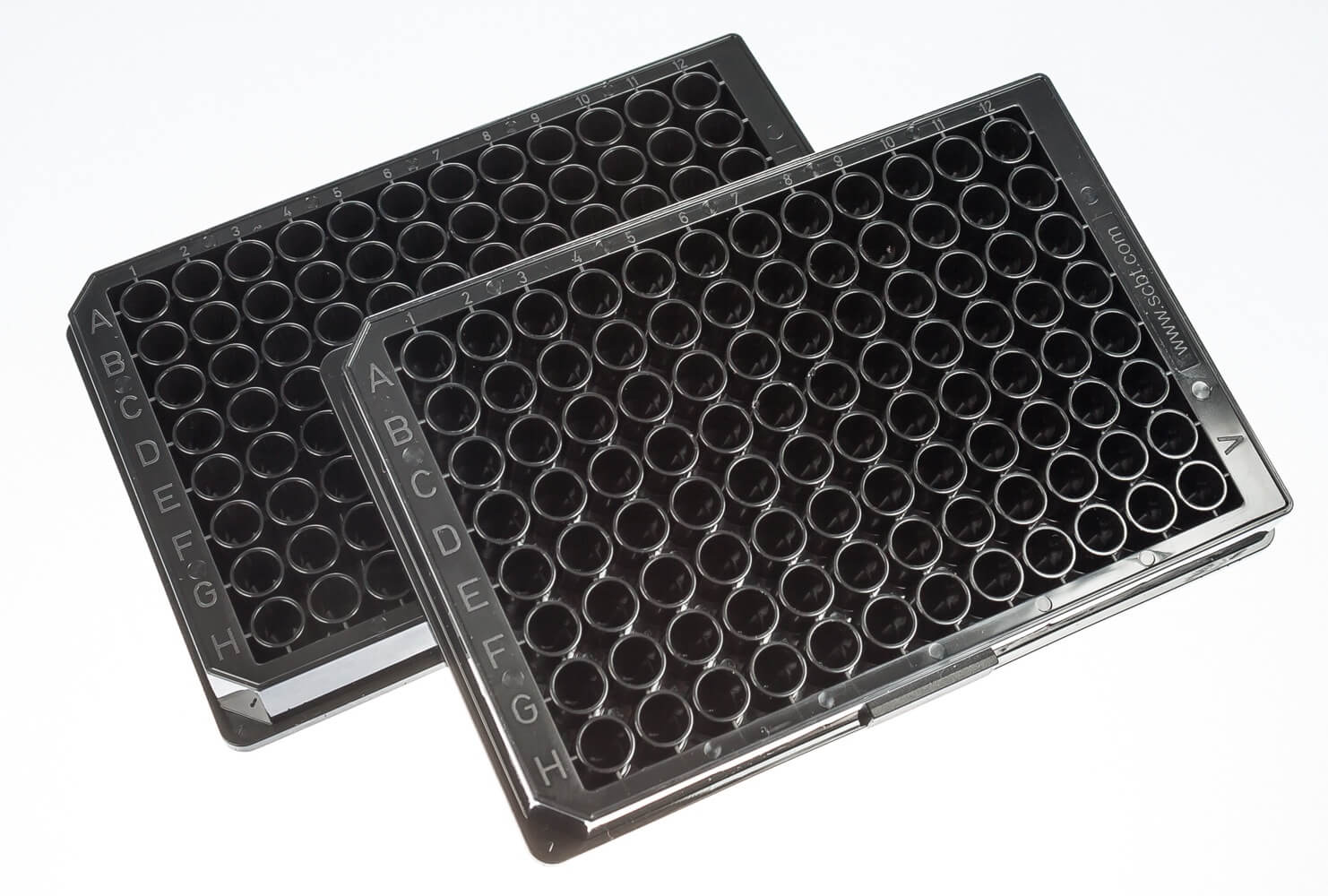 UltraCruz® Fluorescence Multiwell Microplates | 圣克鲁斯生物技术