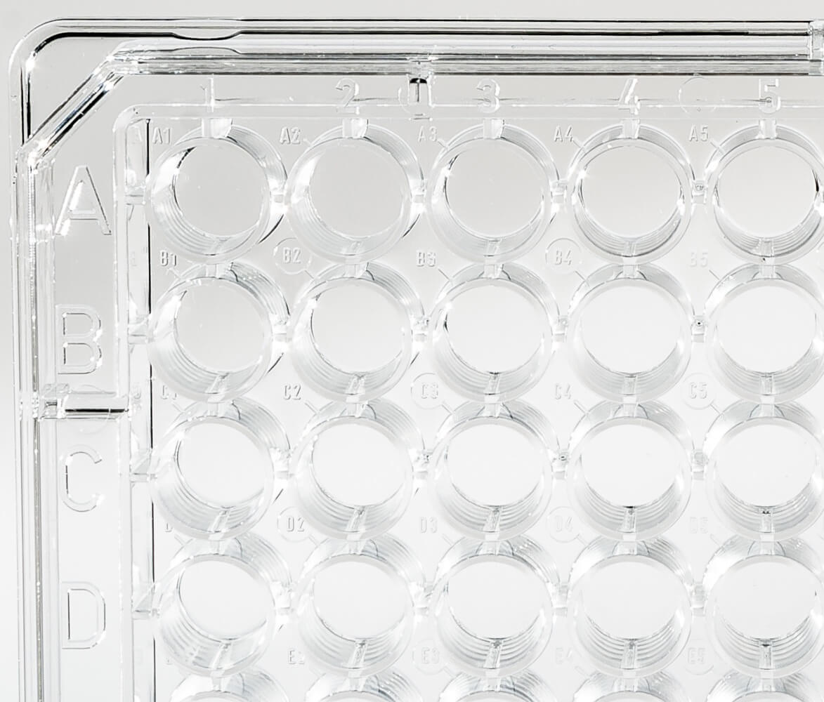 UltraCruz® High Binding ELISA Multiwell Microplates | 圣克鲁斯生物技术